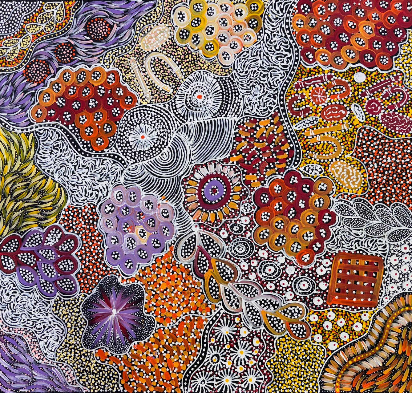 My Country Aboriginal Artwork – Utopia Landscape Painting 880x930